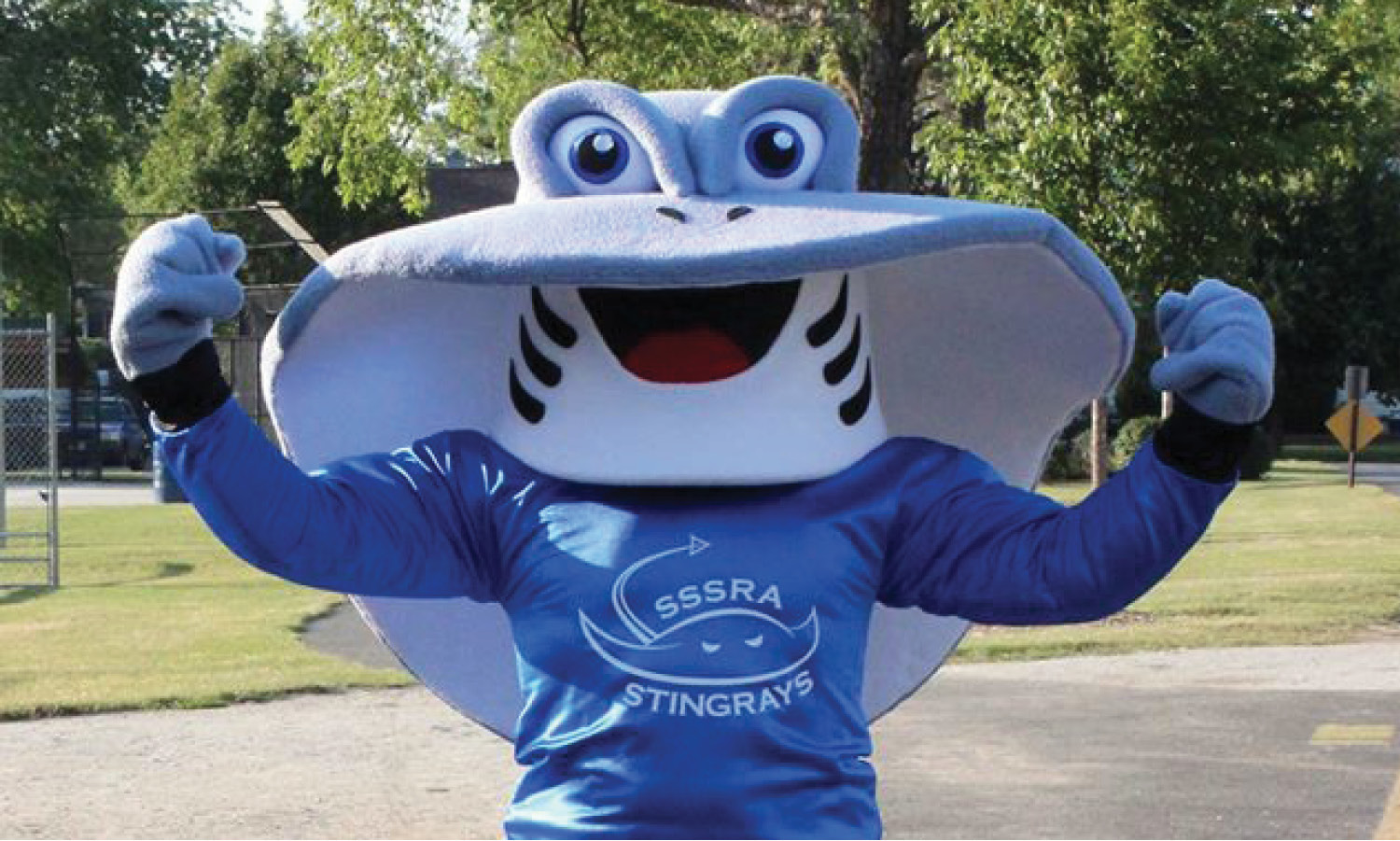 Stingrays Sports Family Picnic - New! - SSSRA